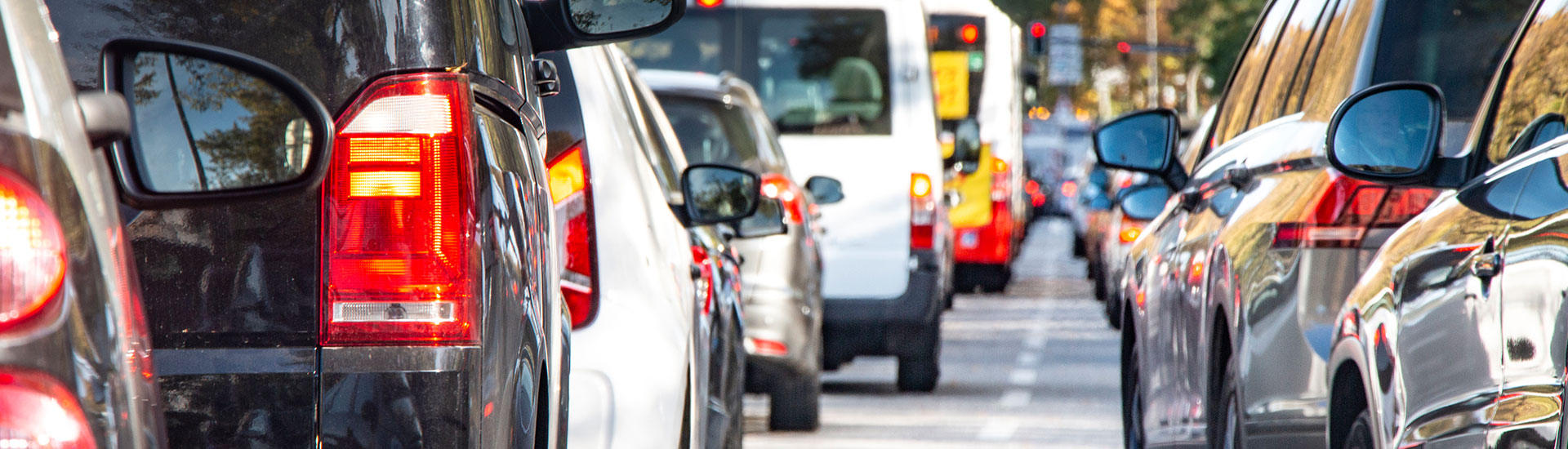 Home - Paula's Auto Tags